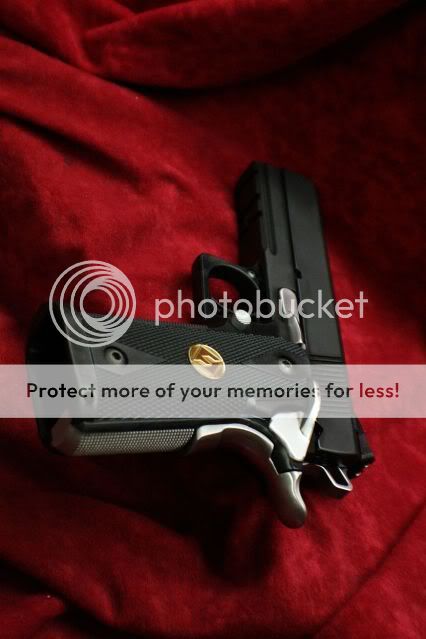 Grand Sport TACTICAL Slab-side 10mm for Tom... Simply WOW | 1911 Forums ...