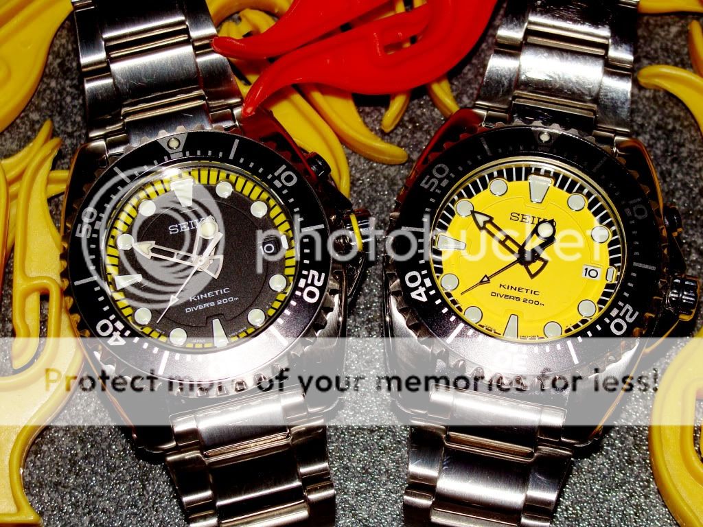 Mellow Yellow.Mod....This is my First...>>>>>Lets see your Old Yellars ...