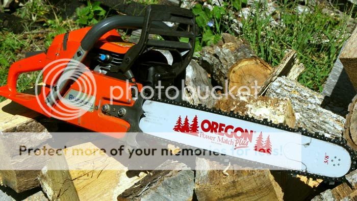 A Very Special 365 Special (Stump Broke) | Arborist, Chainsaw & Tree ...