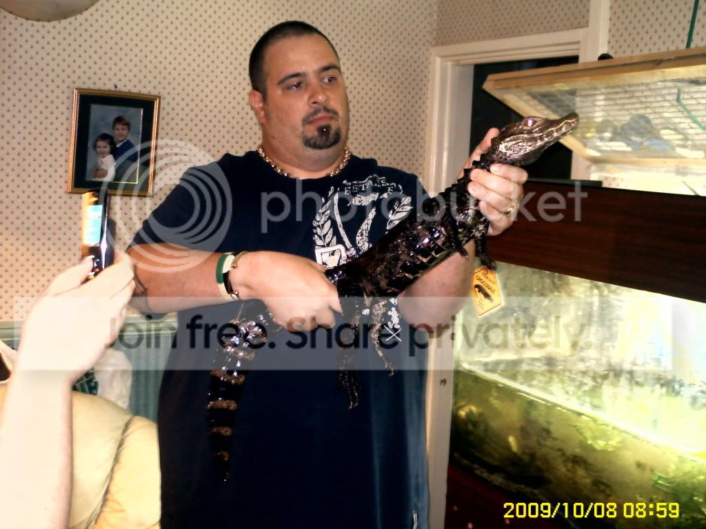 What it took to get to the croc enclosure | Reptile Forums